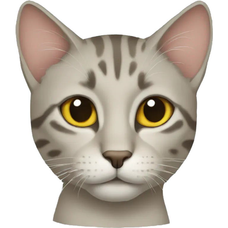 Gato emoji | AI Emoji Generator