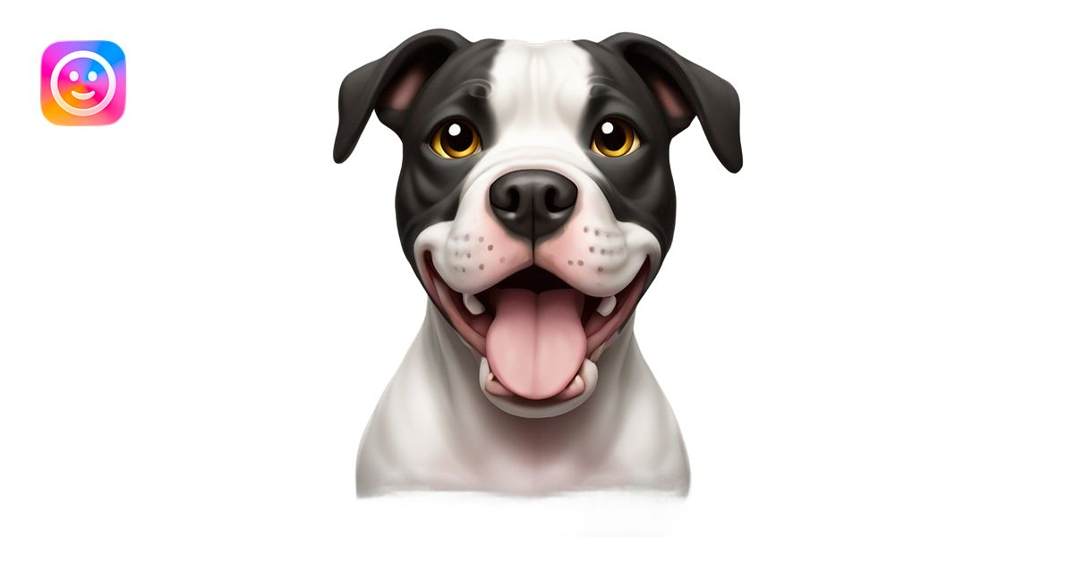 Cute but very scared pit bull all black head except for white chest ...