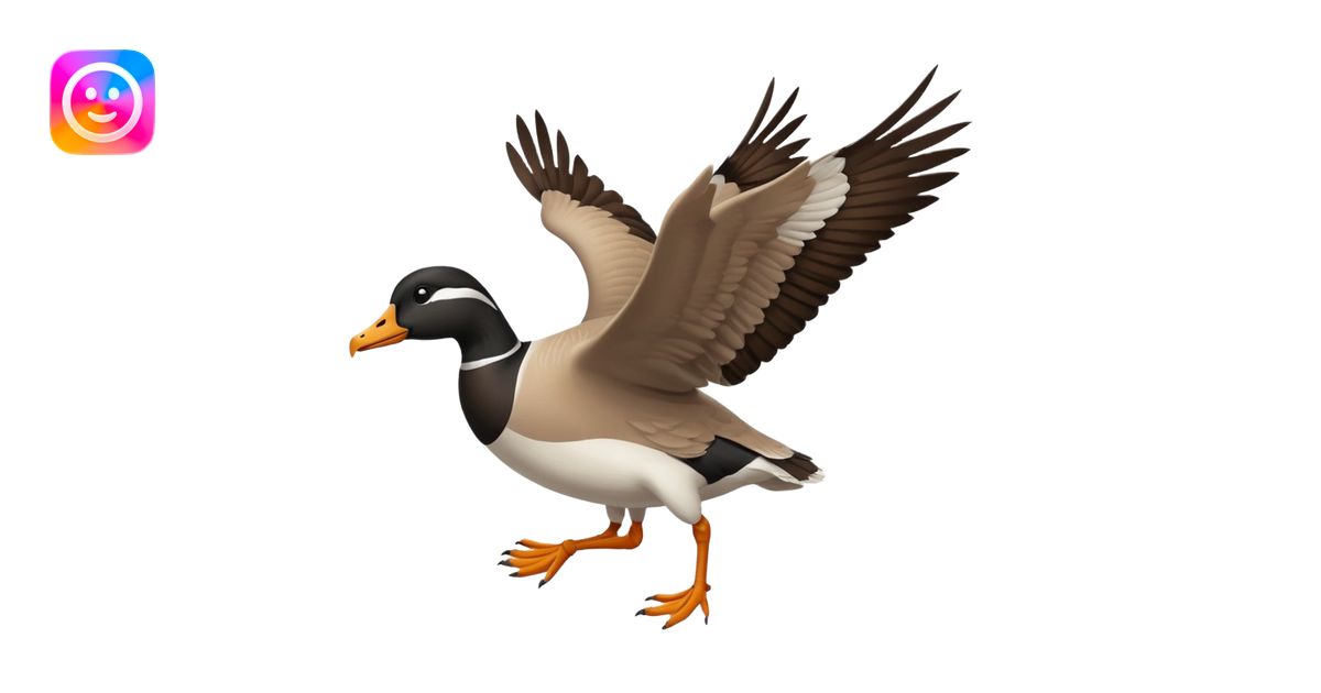 wild goose in flight, with black neck, black feet, black beak, brown ...