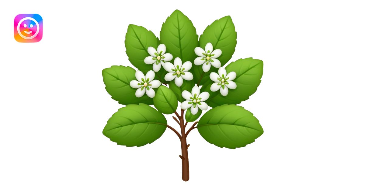 A small bush with round leaves and tiny budding flowers. 
