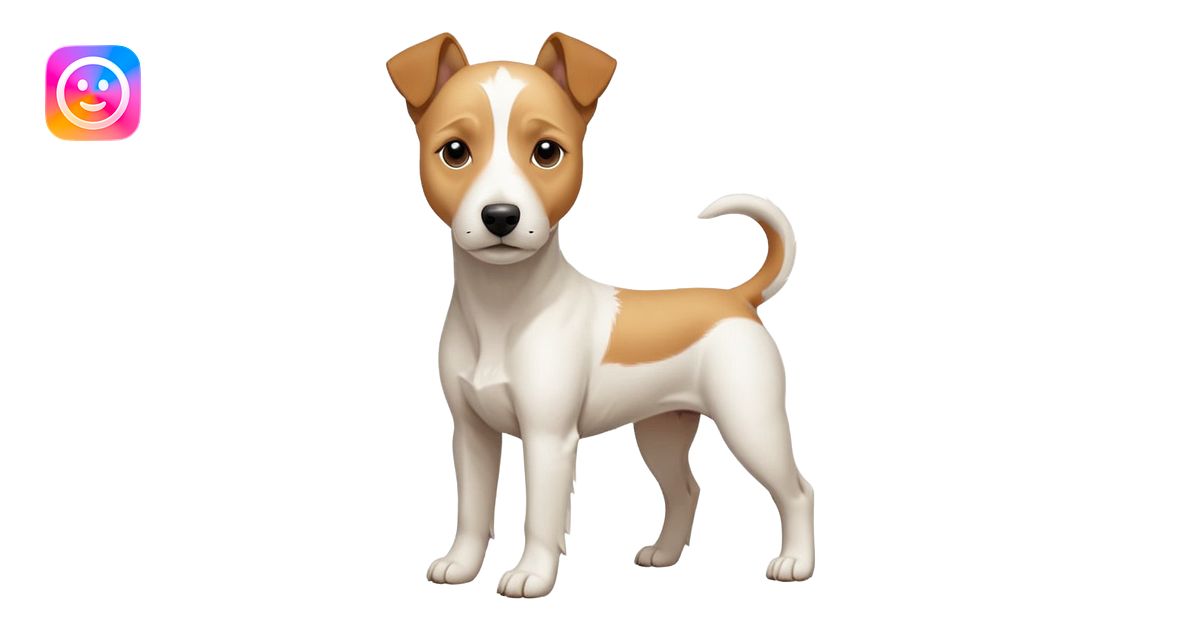 a full body facing front on of a buff white parson russell terrier ...