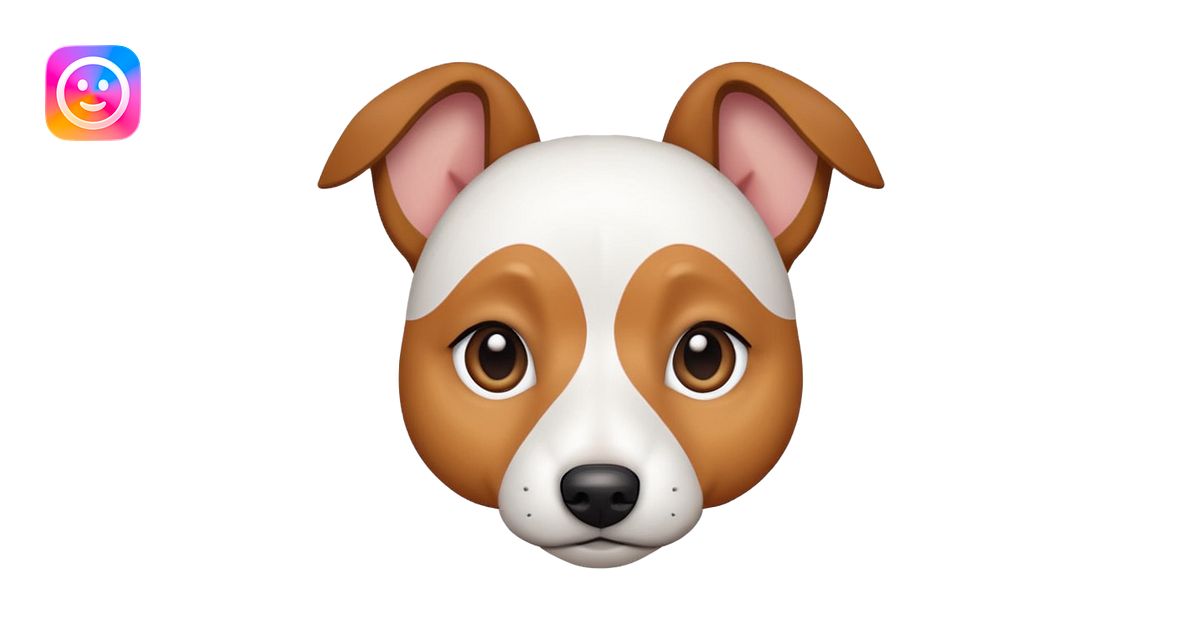 a fully white jack russell the size of a kelpie with light brown ears ...