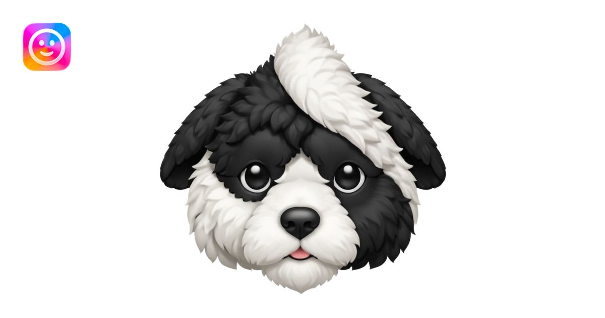 black and white cockapoo - give him a white chest, black ears and black ...
