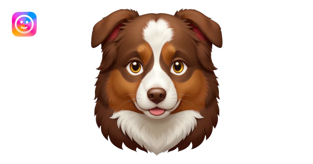 A tri color Australian shepherd with a chocolate brown base coat, red ...