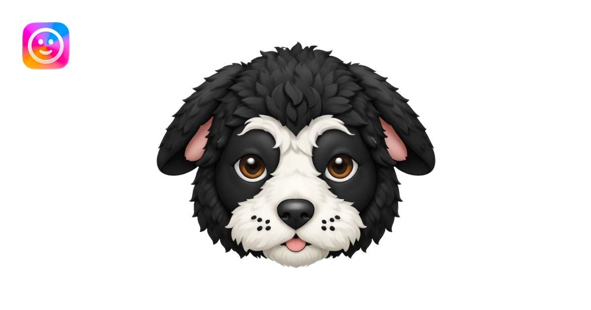 black and white cockapoo - give him a white chest, black ears and black ...