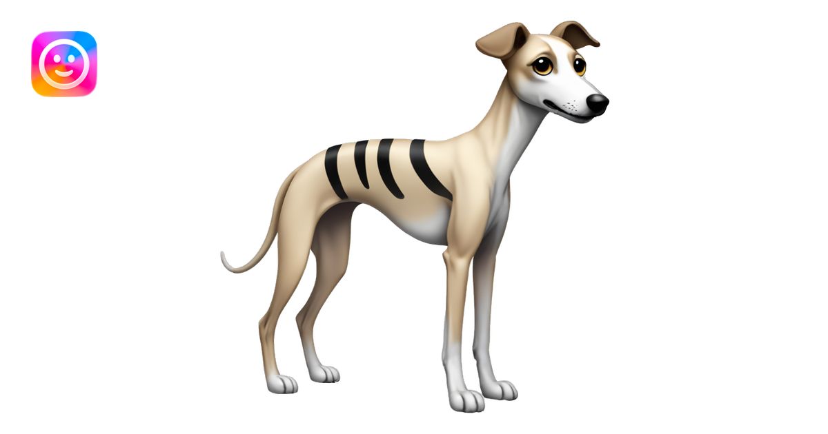 a beige with stripes whippet full body his The tip of the tail white ...