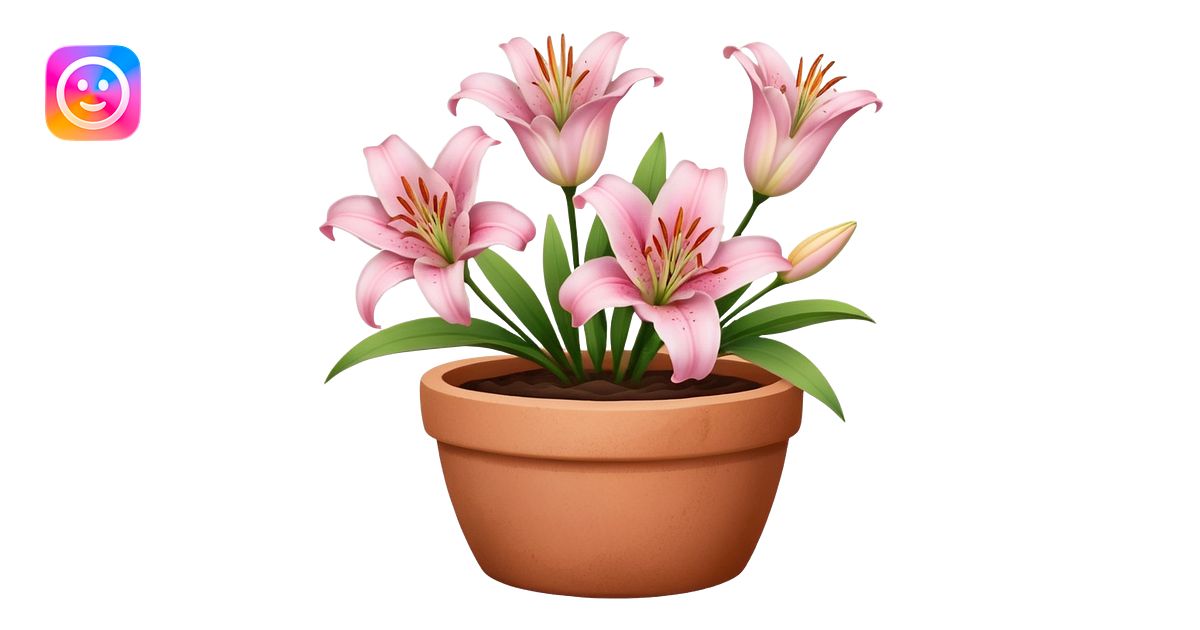 light pink lily flowers in a clay pot emoji | AI Emoji Generator