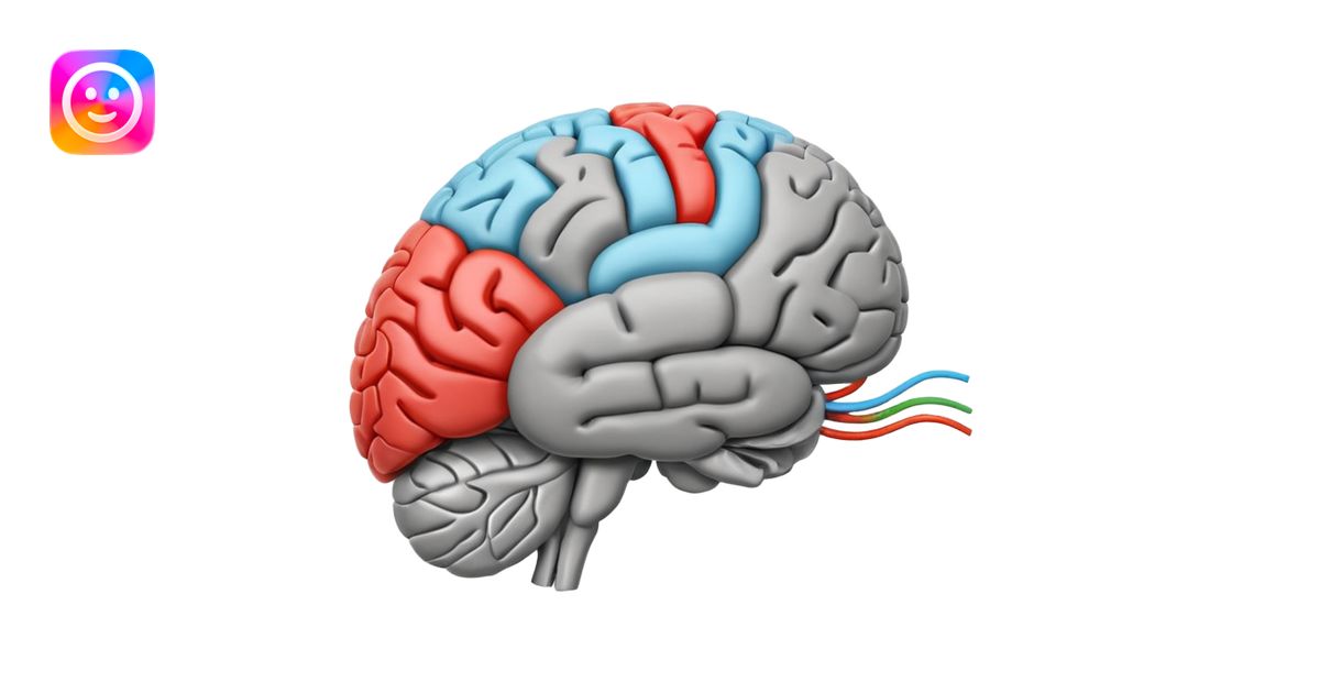 emoji icon of side view of an anatomically correct human brain with ...