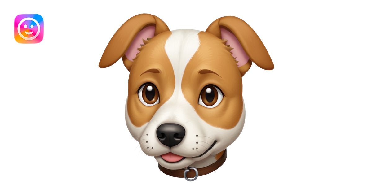 a full body facing front on of a buff white beagle cross jack russell ...