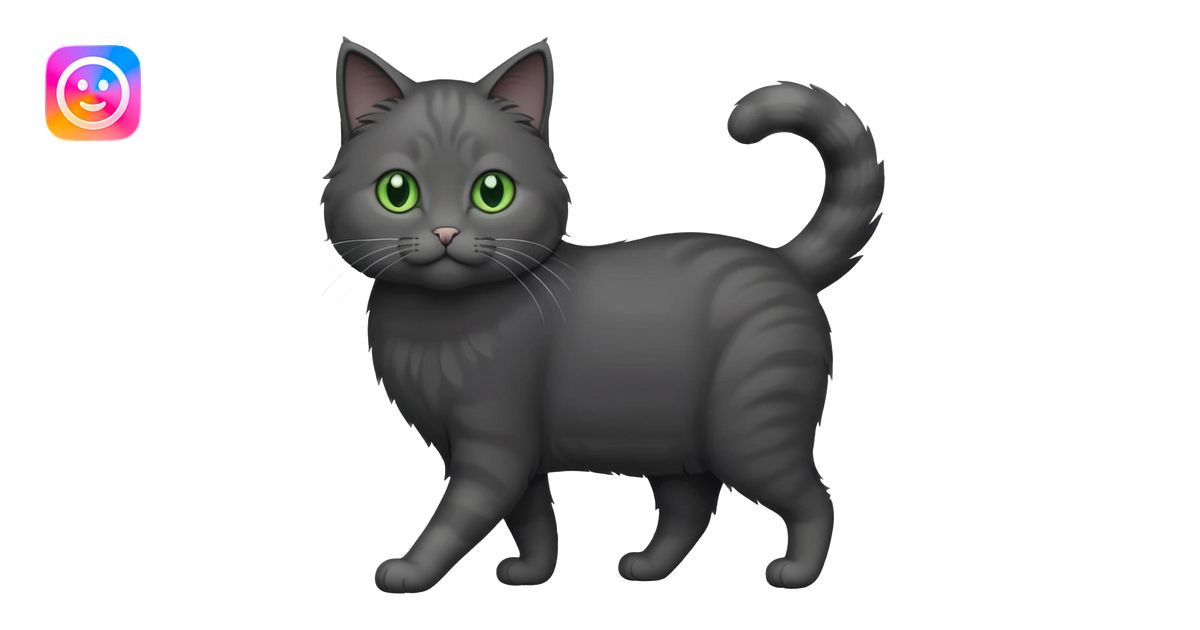 full body solid dark grey cat with green eyes, white paws and white ...
