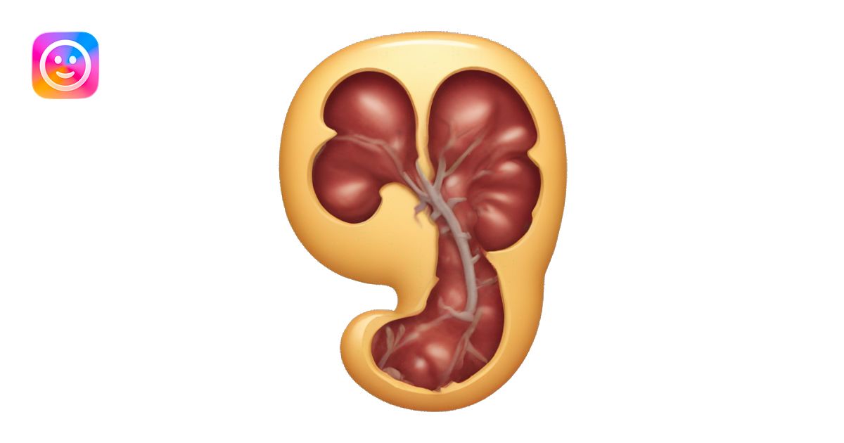 KIDNEY URINARY TRACT BLADDER emoji | AI Emoji Generator