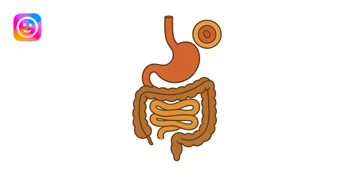 Anatomical illustration of the human digestive system, showing a cell ...