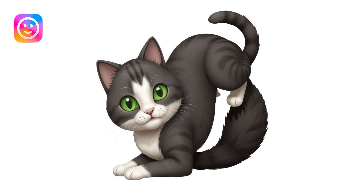 beautiful female solid dark grey cat with green eyes, white toes/paws ...