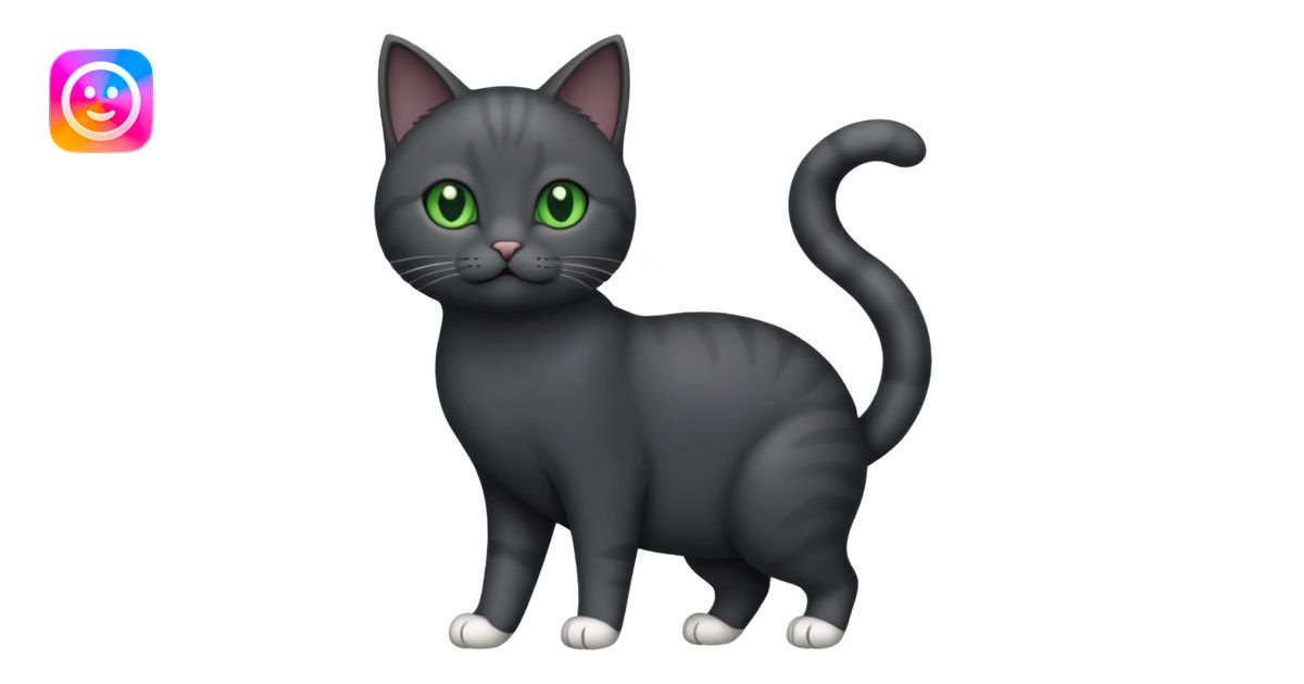 full body gorgeous solid dark grey cat with green eyes, white paws and ...