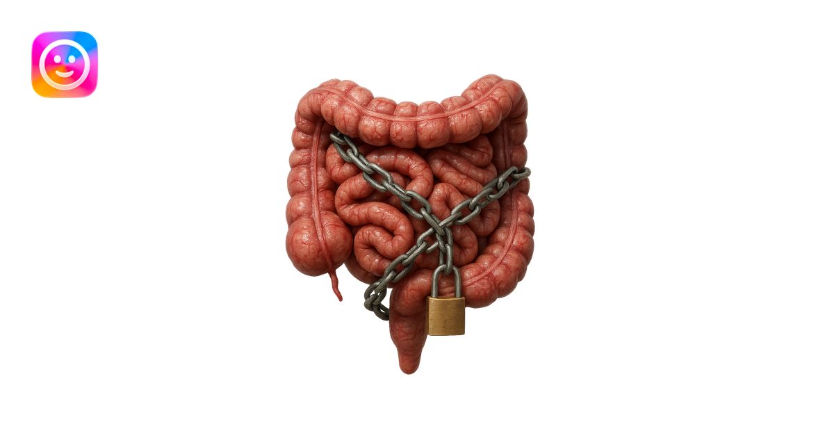 INTESTINO UMANO ANATOMICO REALISTICO CHIUSO DA CATENA TUTTA INTORNO E ...
