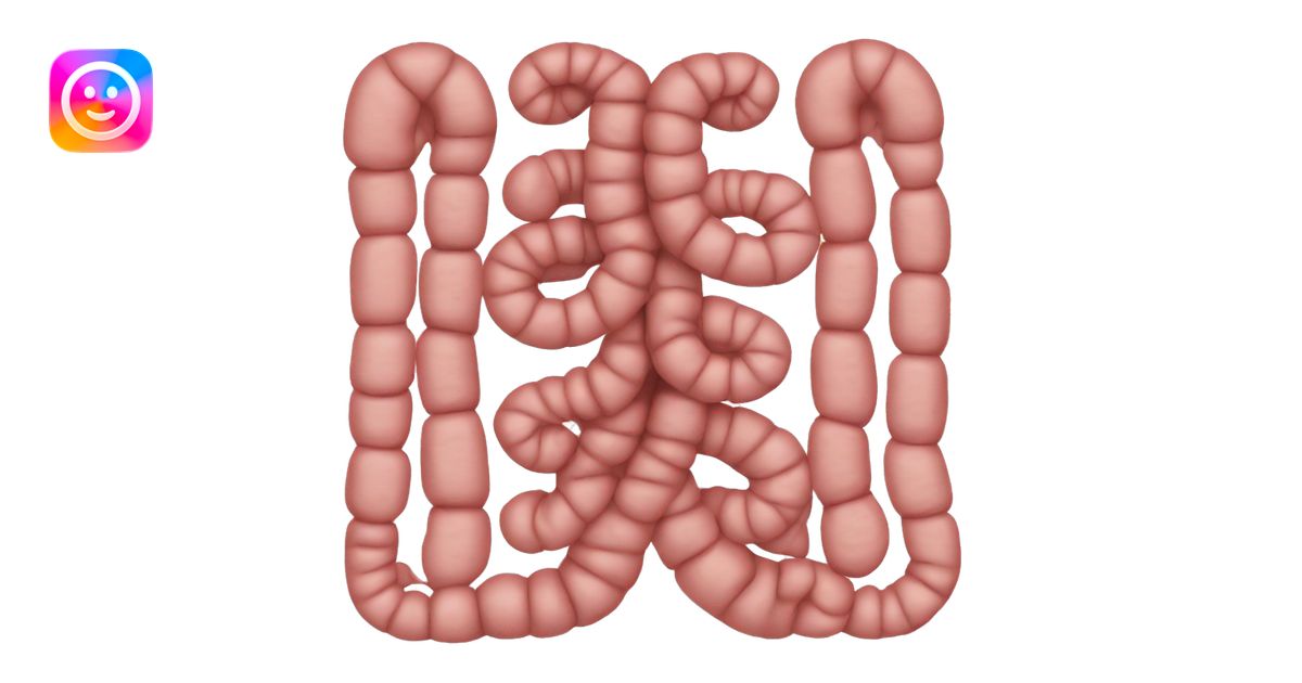 Intestine + Colon emoji | AI Emoji Generator