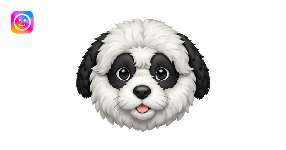 black and white cockapoo - give him a white chest, black ears, black ...