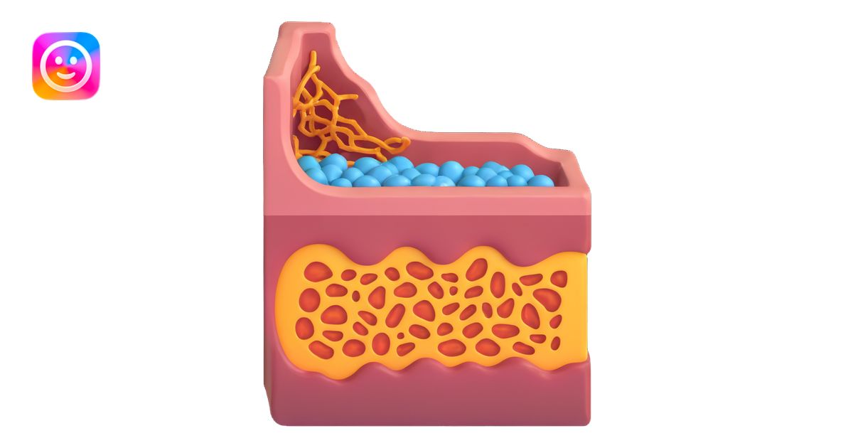 3D cross-section of a biological membrane with visible phospholipid ...