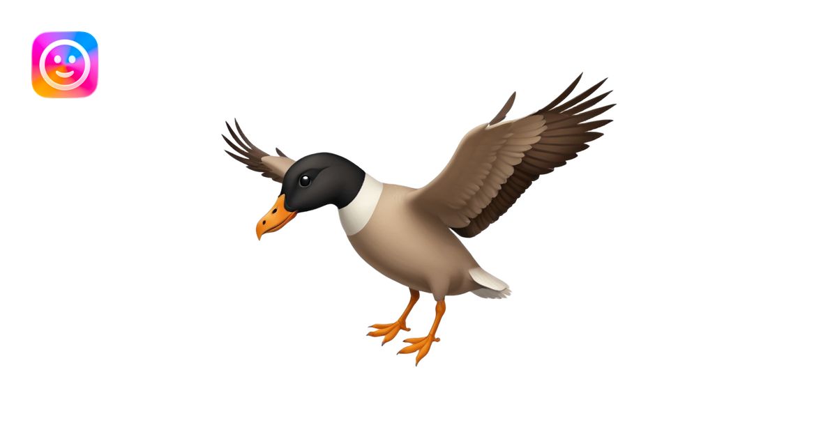 wild goose in flight, with black neck, black feet, black beak, brown ...
