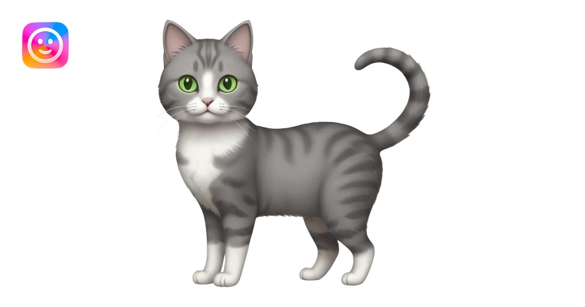 full body view of beautiful female grey cat with green eyes, white paws ...