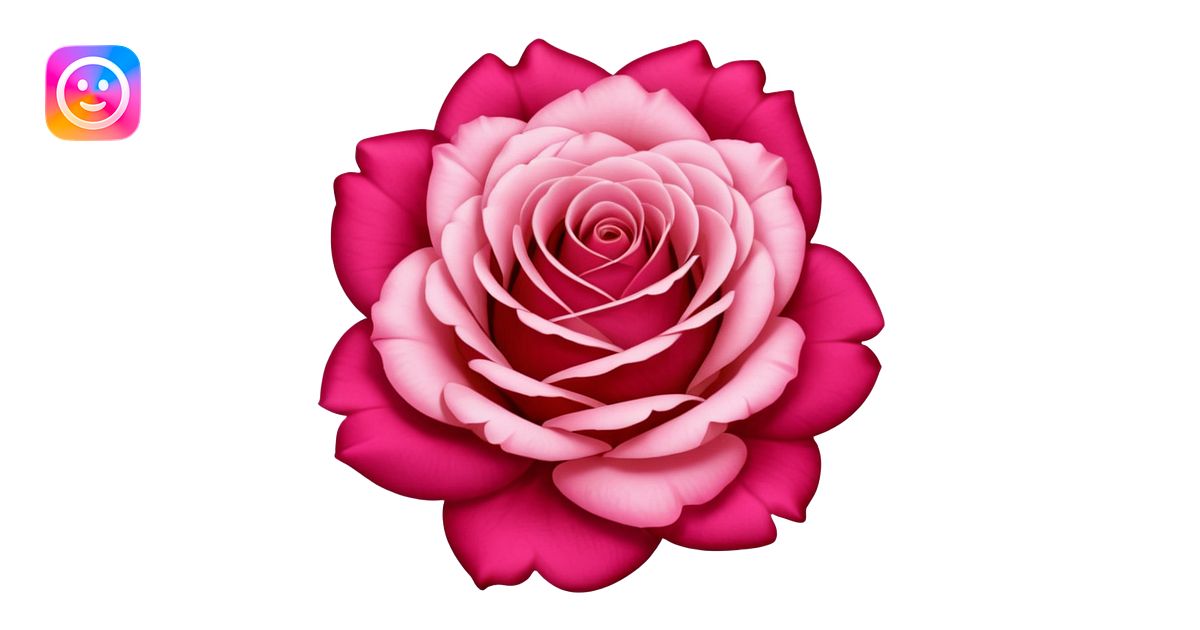 realistic Colorshifting deep red, red, bright pink, pale pink rose ...