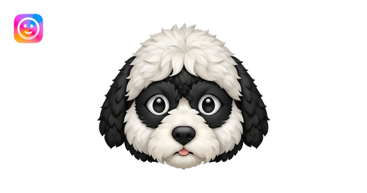 black and white cockapoo - give him a white chest, black ears and black ...
