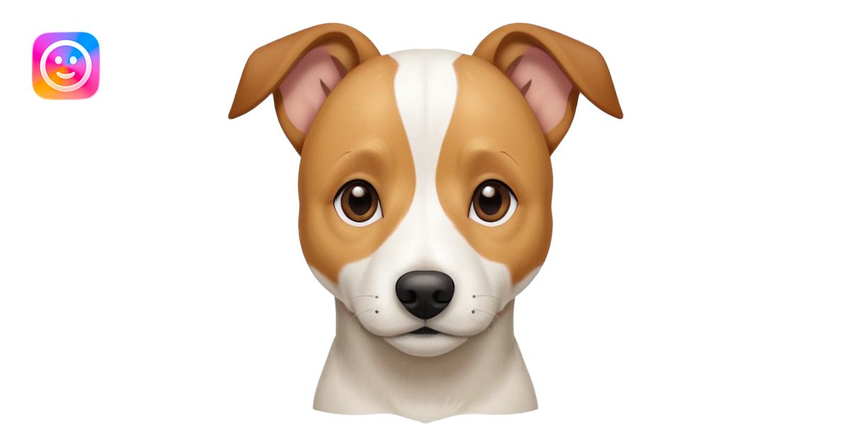 a full body facing front on of a buff white beagle cross jack russell ...