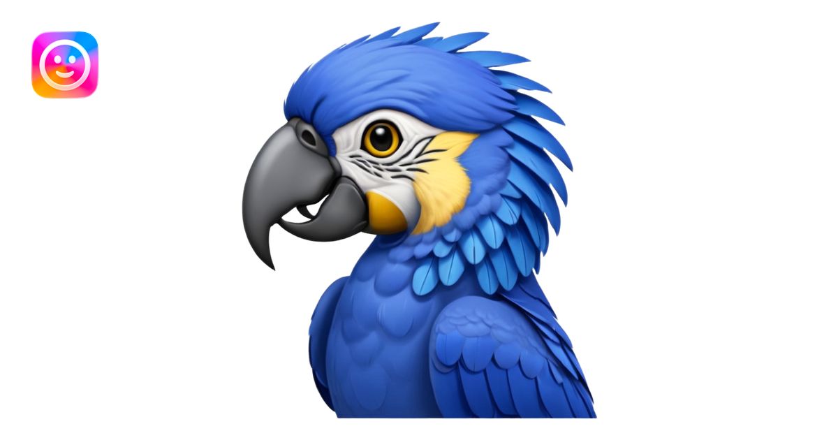Hyacinth macaw with all blue feathers except for yellow around beak and ...
