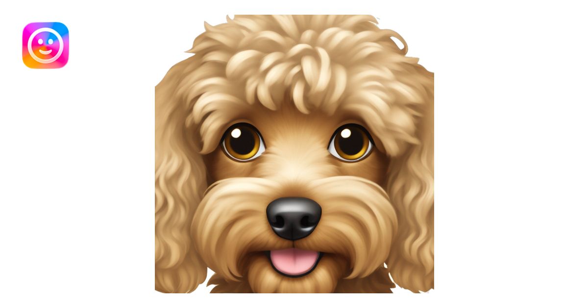 Light brown and cream colored Yorkie poodle mixed dog with curly hair ...