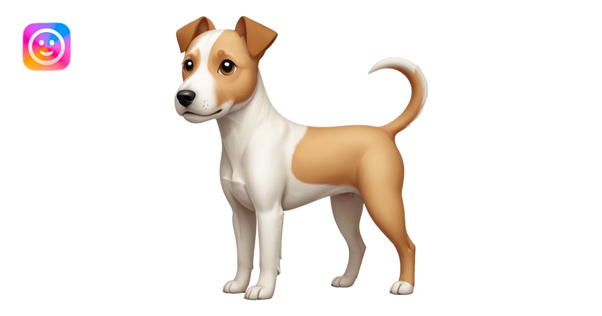 a full body facing front on of a buff white parson russell terrier ...