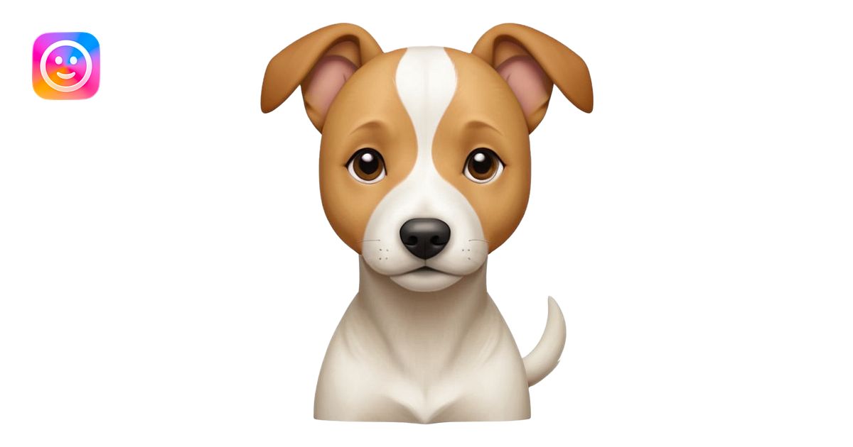 a full body facing front on of a buff white beagle cross jack russell ...