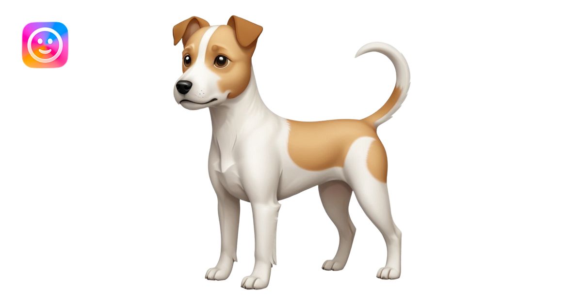 a full body buff white parson russell terrier looking dog the size of a ...