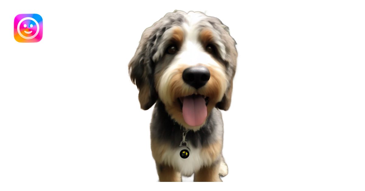 Bernedoodle on Hiking trail emoji | AI Emoji Generator