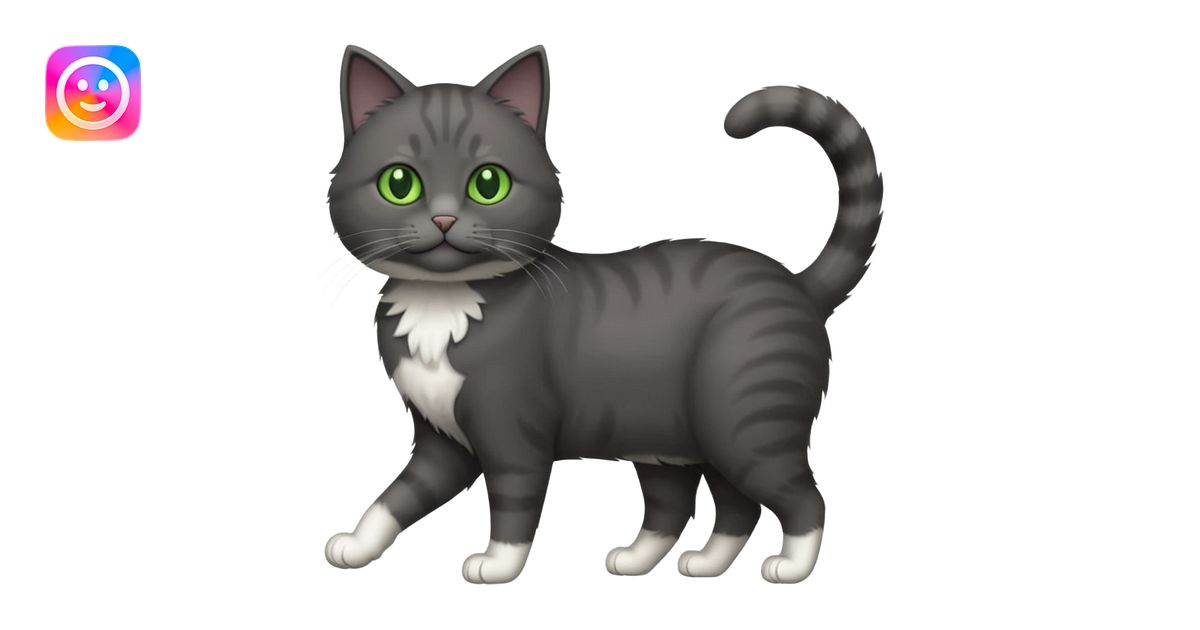full body solid dark grey cat with green eyes, white paws and white ...