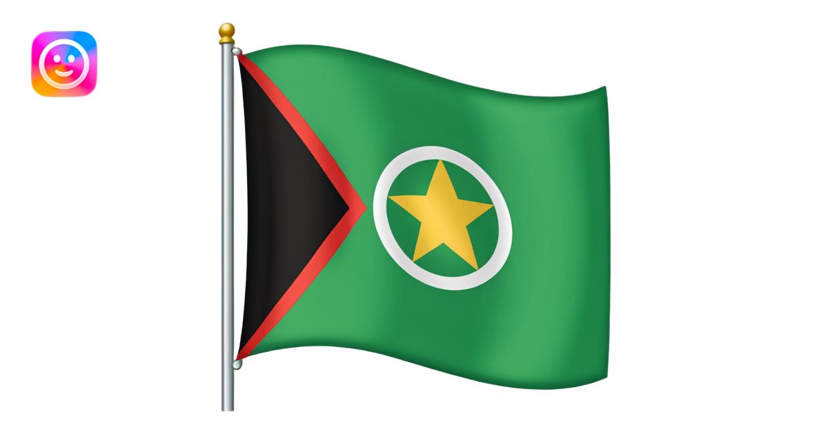 Just do a simple flag I want to put in my bio. Have u seen the panjshir ...
