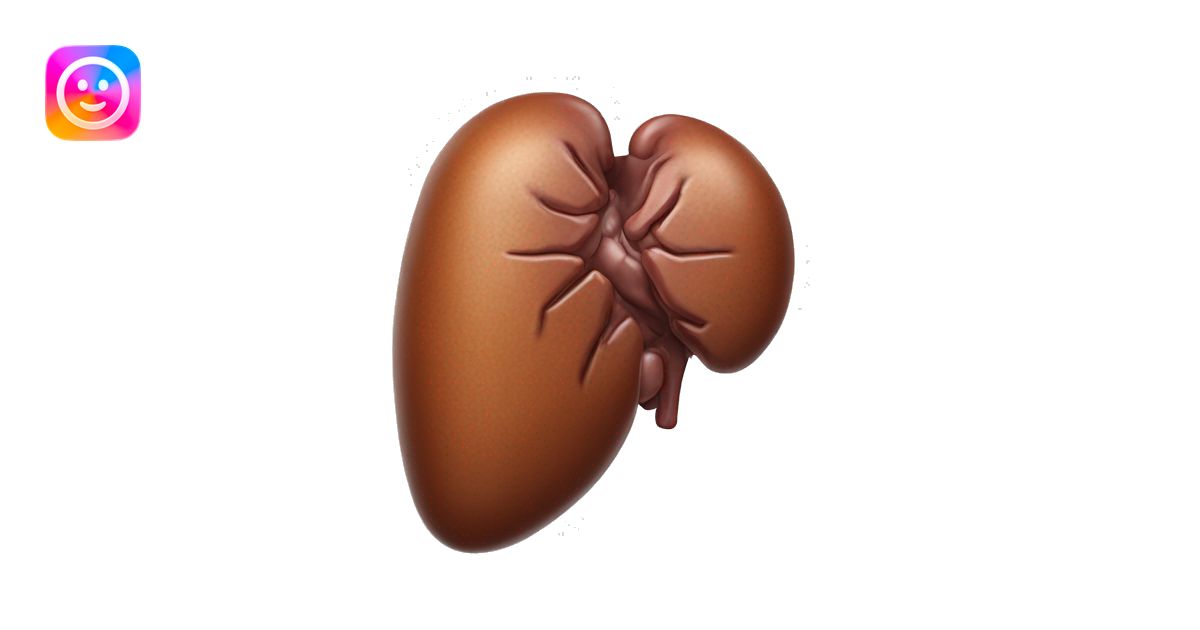 “A realistic image of a human liver, showing its smooth, reddish-brown ...