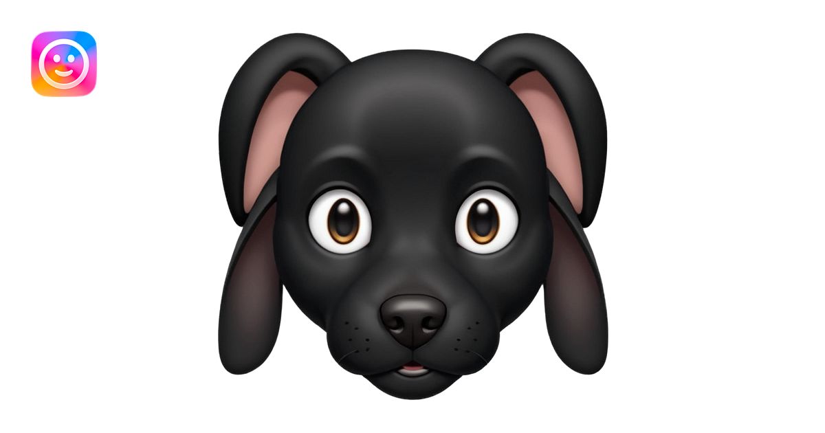 Shadow is a black dog with big upright ears and bright, expressive eyes ...