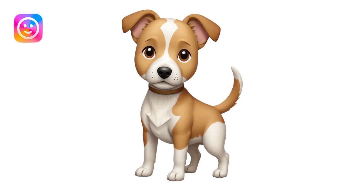 a full body facing front on of a buff white beagle cross jack russell ...