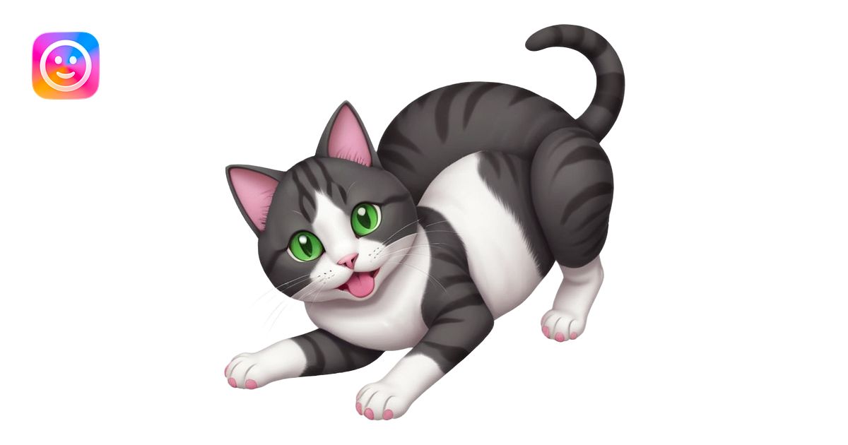 beautiful female solid dark grey cat with green eyes, white toes/paws ...