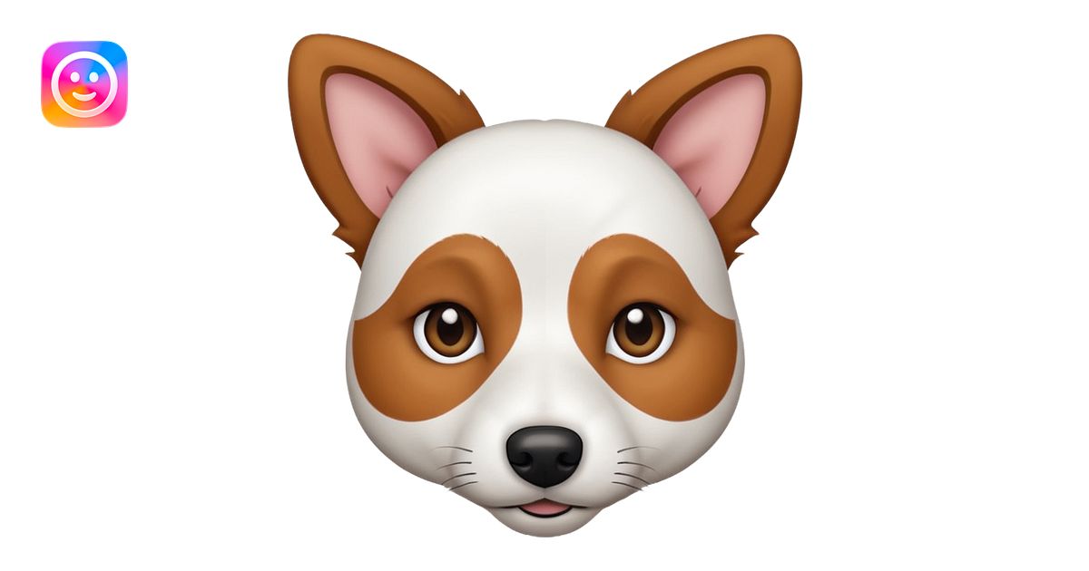 a fully white jack russell the size of a kelpie with light brown ears ...