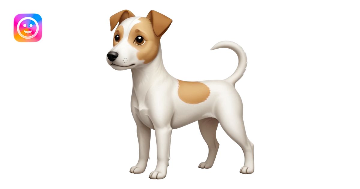 a full body facing front on of a buff white parson russell terrier ...