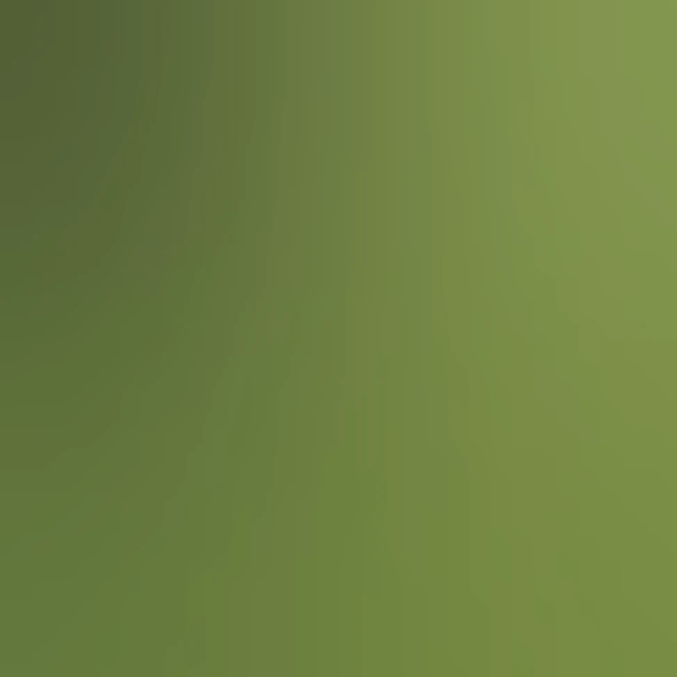 Whole wheat roti green in color make it greener emoji | AI Emoji Generator