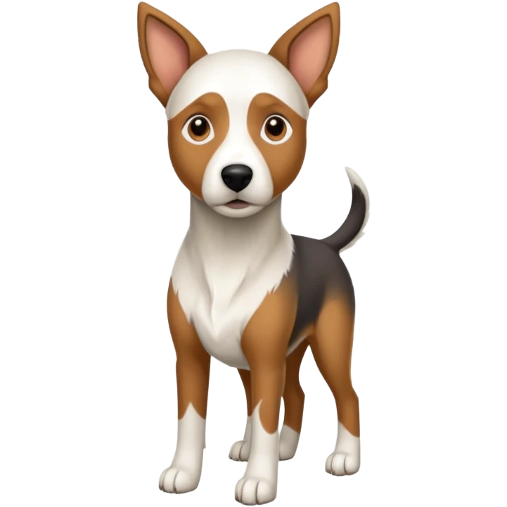 a full body large white floppy eared parson russell looking dog the ...