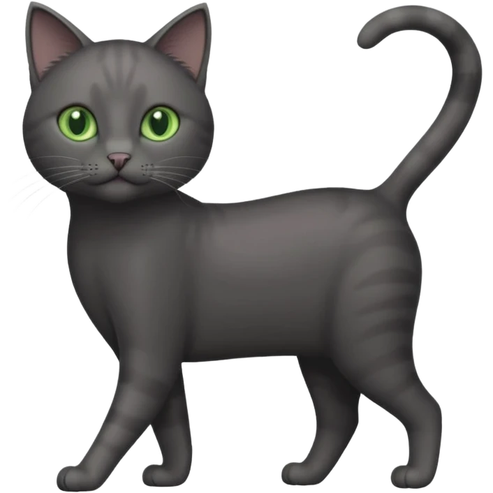 full body gorgeous solid dark grey cat with green eyes, white paws and ...