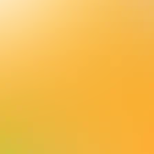 make it look like an Asian spring roll, not a burrito! (please ...