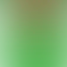 A wizard 🧙 wearing green clothes, with black skin, holding a pistol 🔫 ...