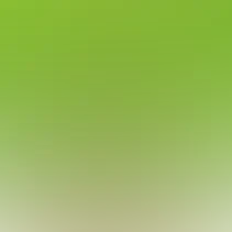 tree camping only tree emoji | AI Emoji Generator