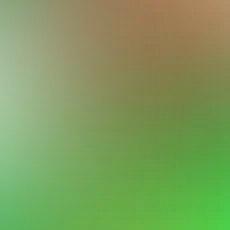 A wizard 🧙 wearing green clothes, with black skin, holding a pistol 🔫 ...