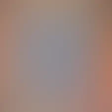 detailed realistic looking a dark grey and white cat regally sitting ...